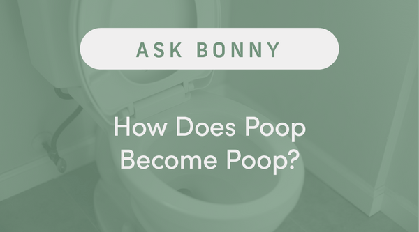 How Does Poop Become Poop - Bonny Fiber Supplements